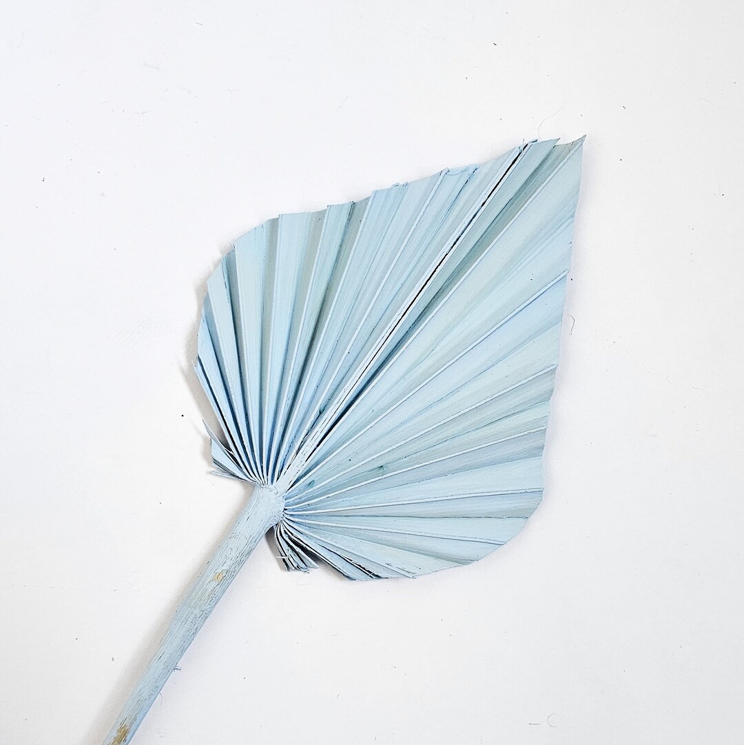 Baby Blue Palm Spear Leaf Cake Topper - Boho Cake Topper - Dried ...