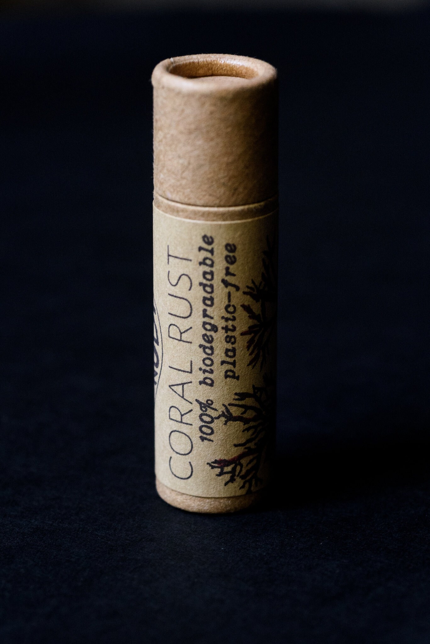 Coral Rust Plastic Free 100% Biodegradable Tinted Lip Balm | Etsy