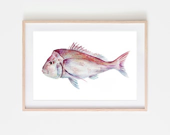 Crayfish Art Print, Australian Wildlife Illustration, Coastal Wall ...