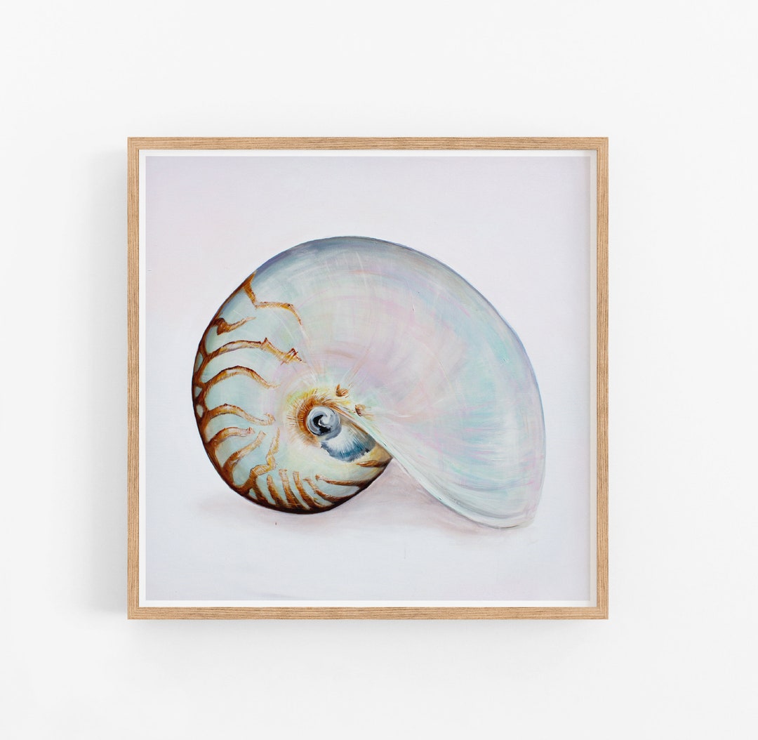 Nautilus Shell Fine Art Print, Coastal Decor for Your Wall - Etsy