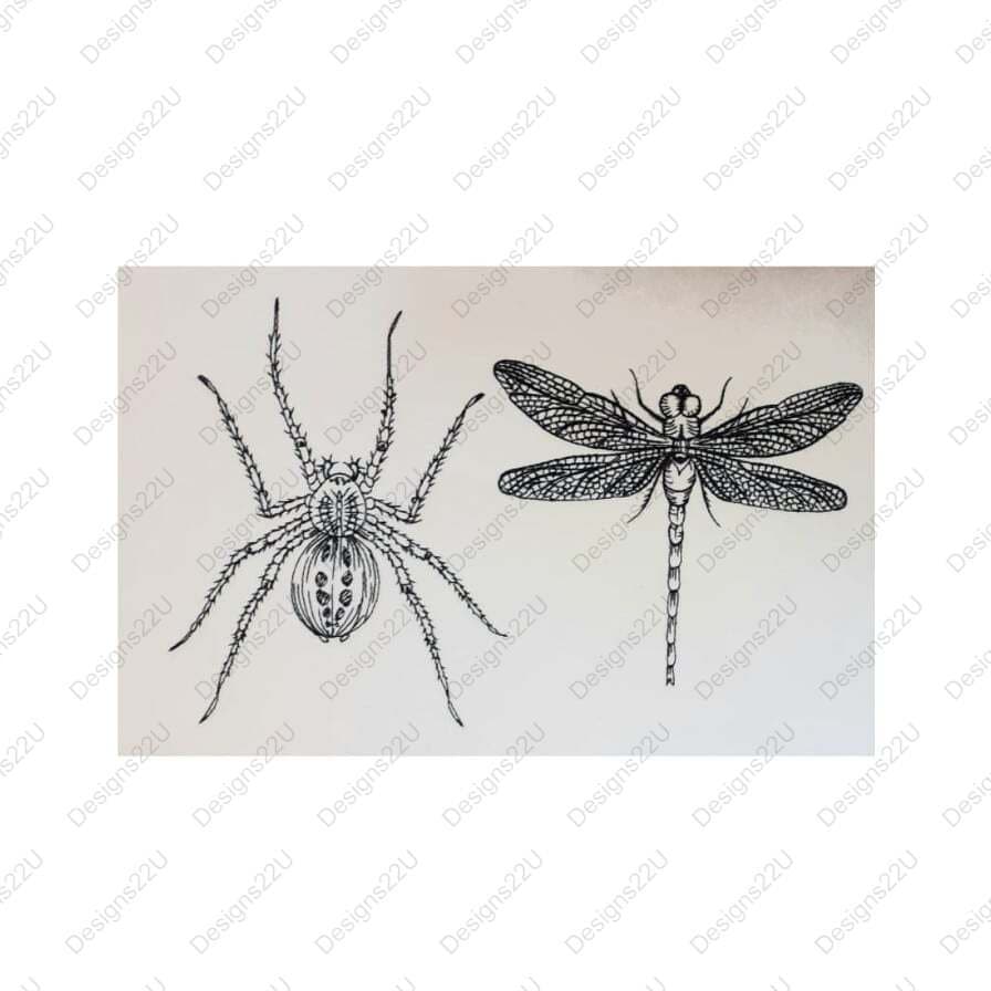 Individual Insect Linework Ant Dragonfly Flea Fly - Etsy
