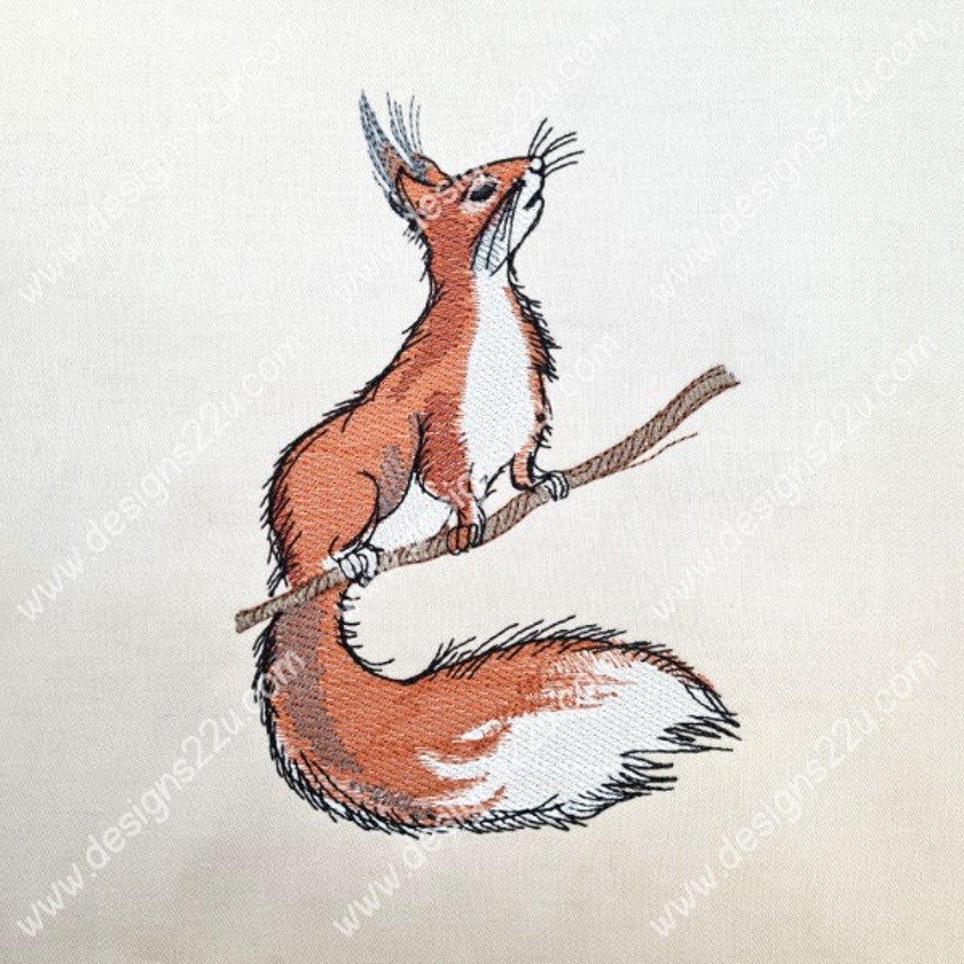 5x7 Proud Squirrel Sketch With Lighter Density Fill Digitized Machine ...