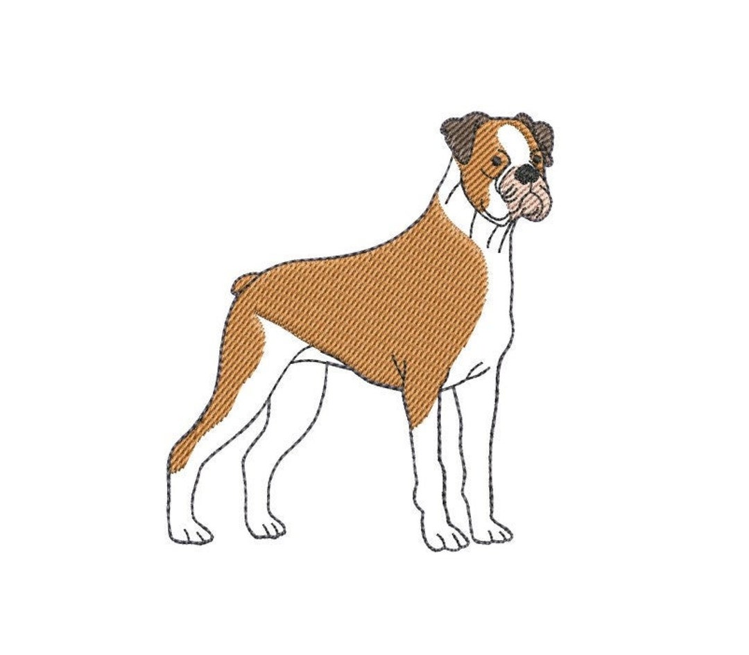 Why Are Boxer Dogs Tails Docked