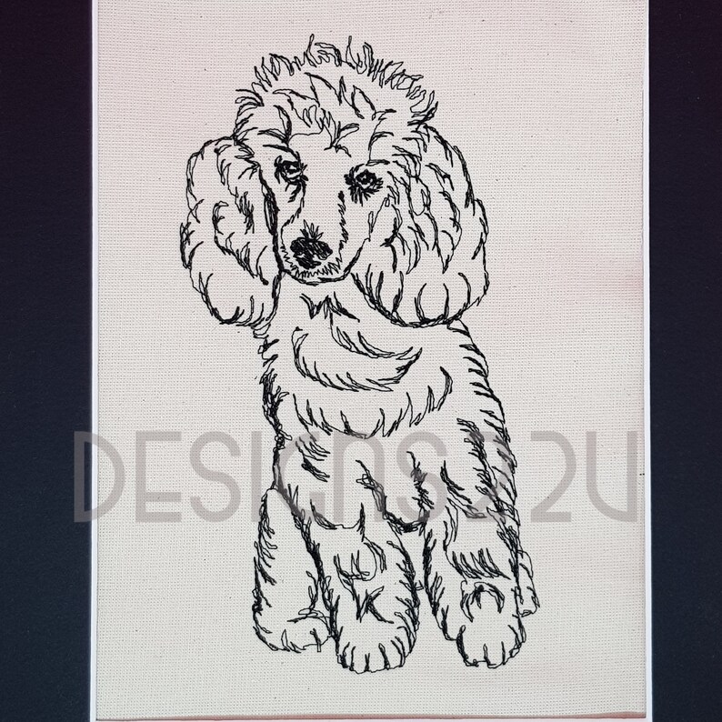 Hand Drawn Sitting Poodle 2 Sizes Digitized Machine Embroidery Design ...