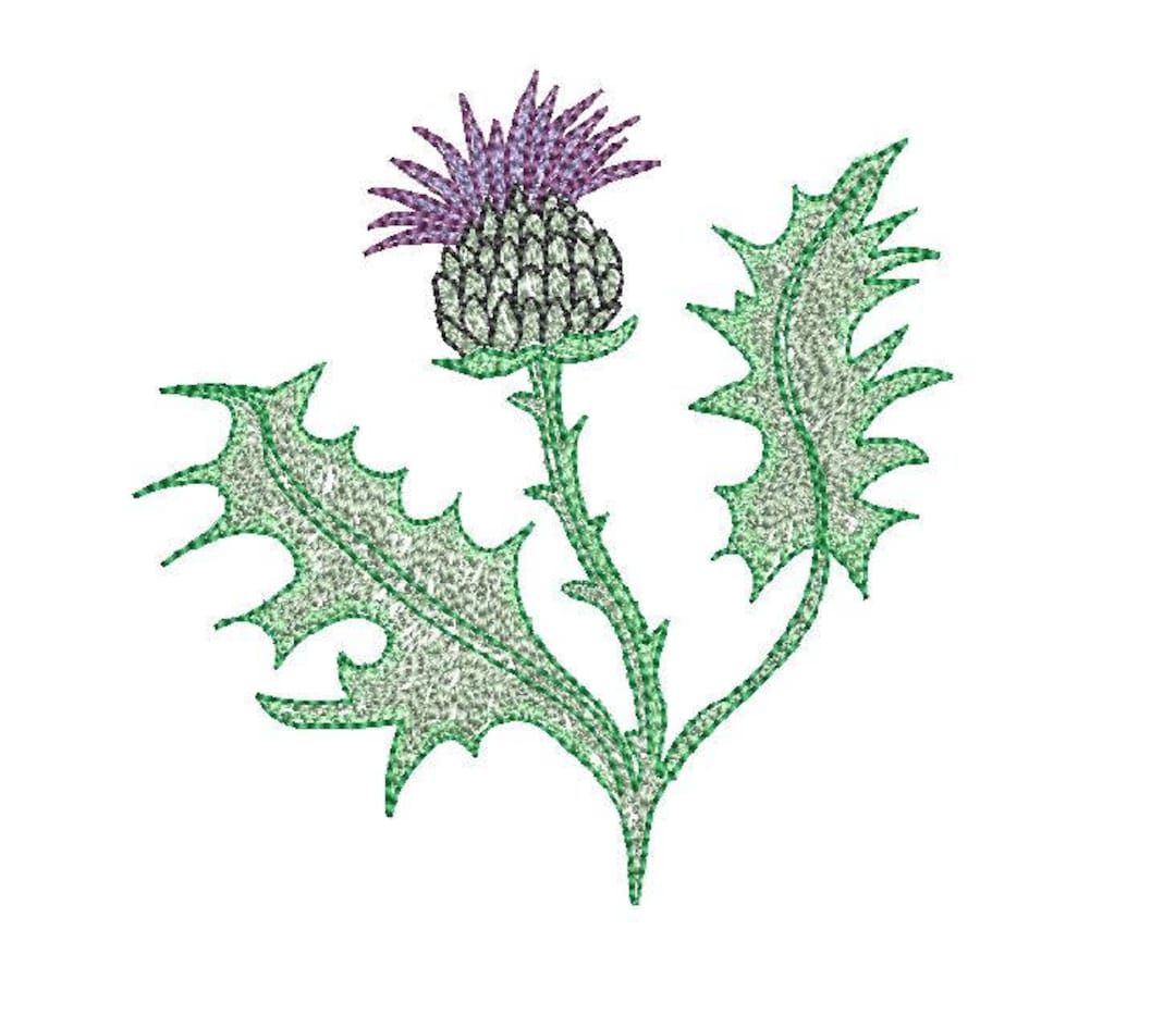 Thistle 3 Sizes Digitized Machine Embroidery Design Digital Download ...