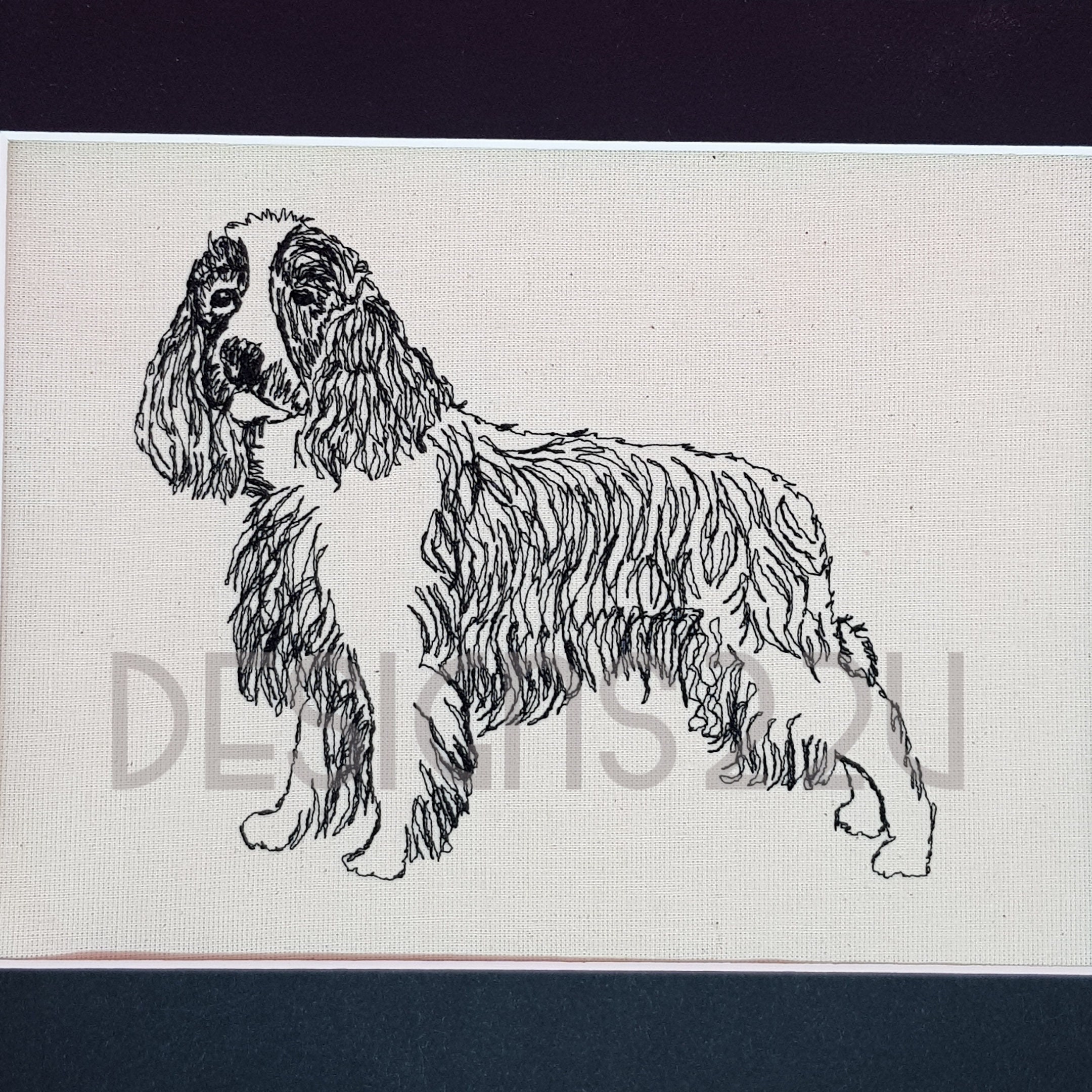 Hand Drawn Standing English Springer Spaniel 2 sizes Digitized | Etsy