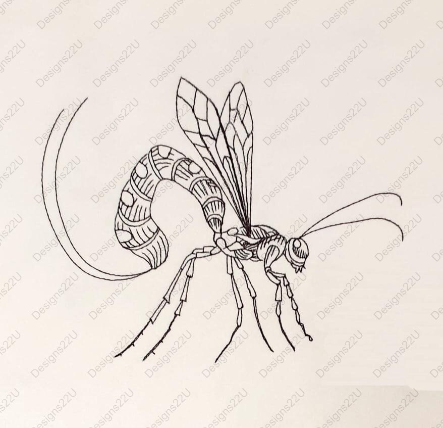 Individual Insect Linework Ant Dragonfly Flea Fly - Etsy