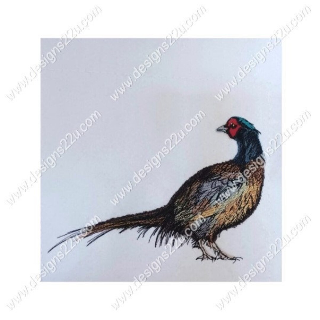 6x8 Pheasant Bird Sketch Raw Edge Applique Light Density Fill Digitized ...