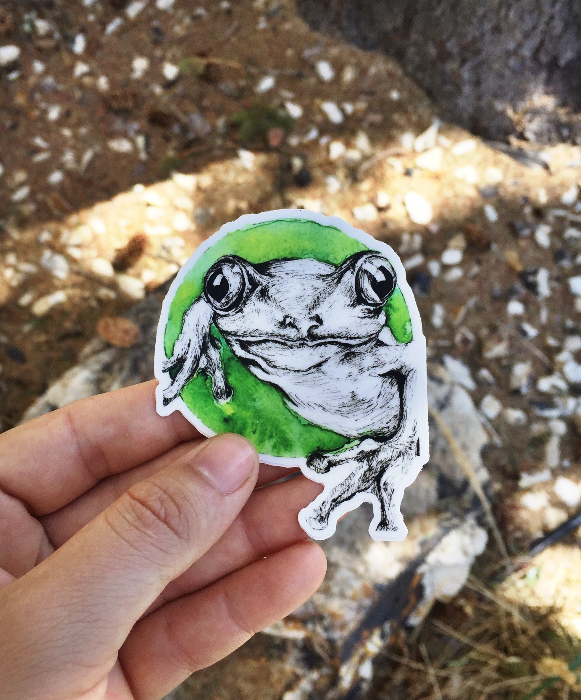 Frog Sticker - Etsy