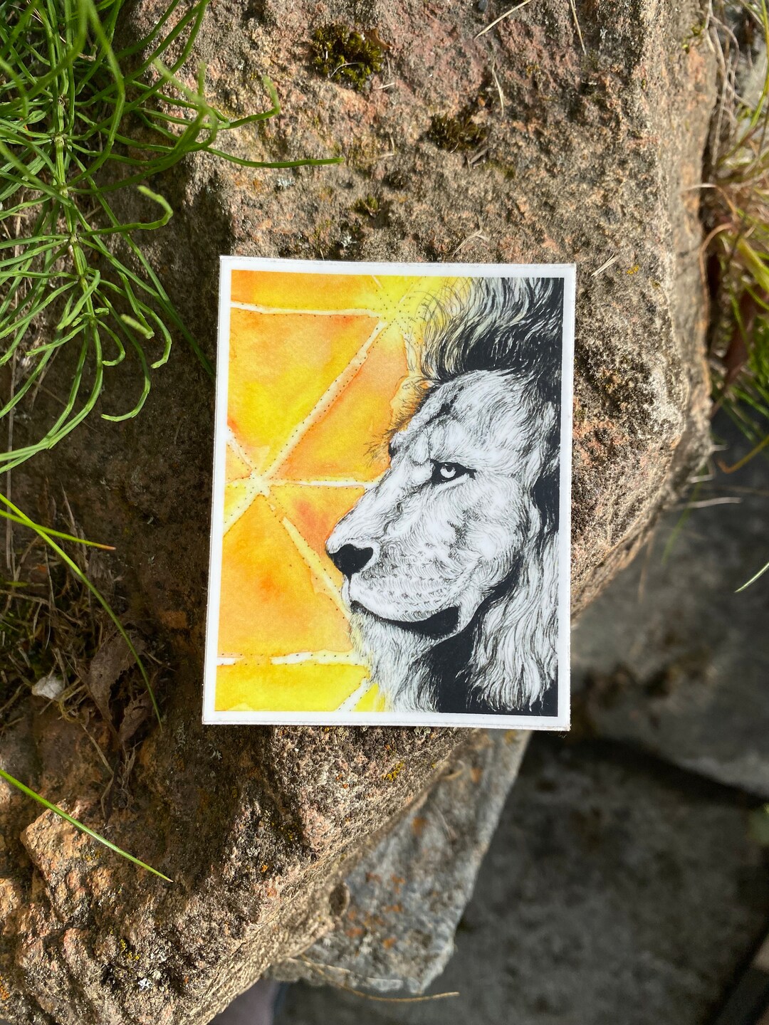 Lion Sticker - Etsy