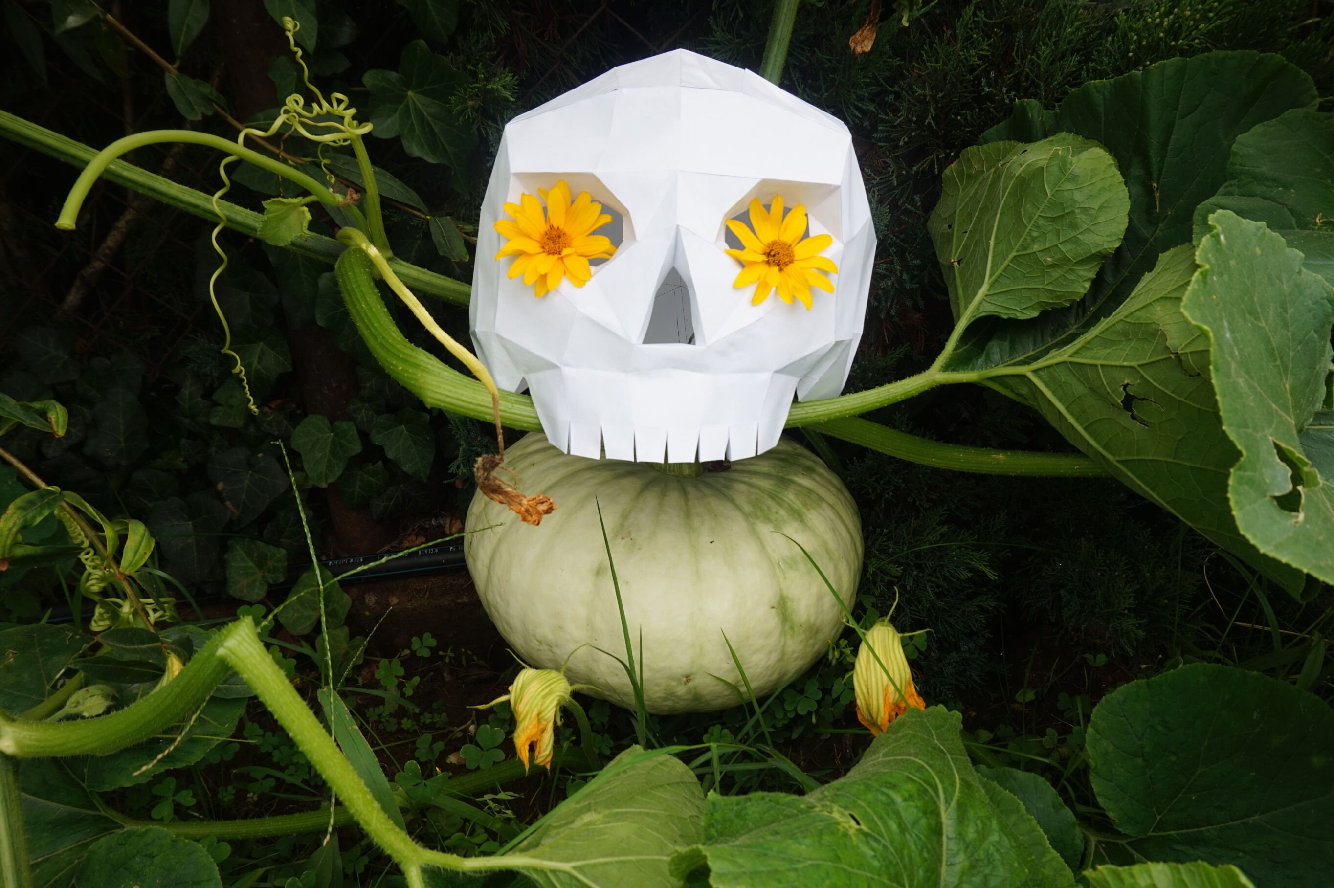 3D Human Skull Mask Papercraft Helmet | Etsy