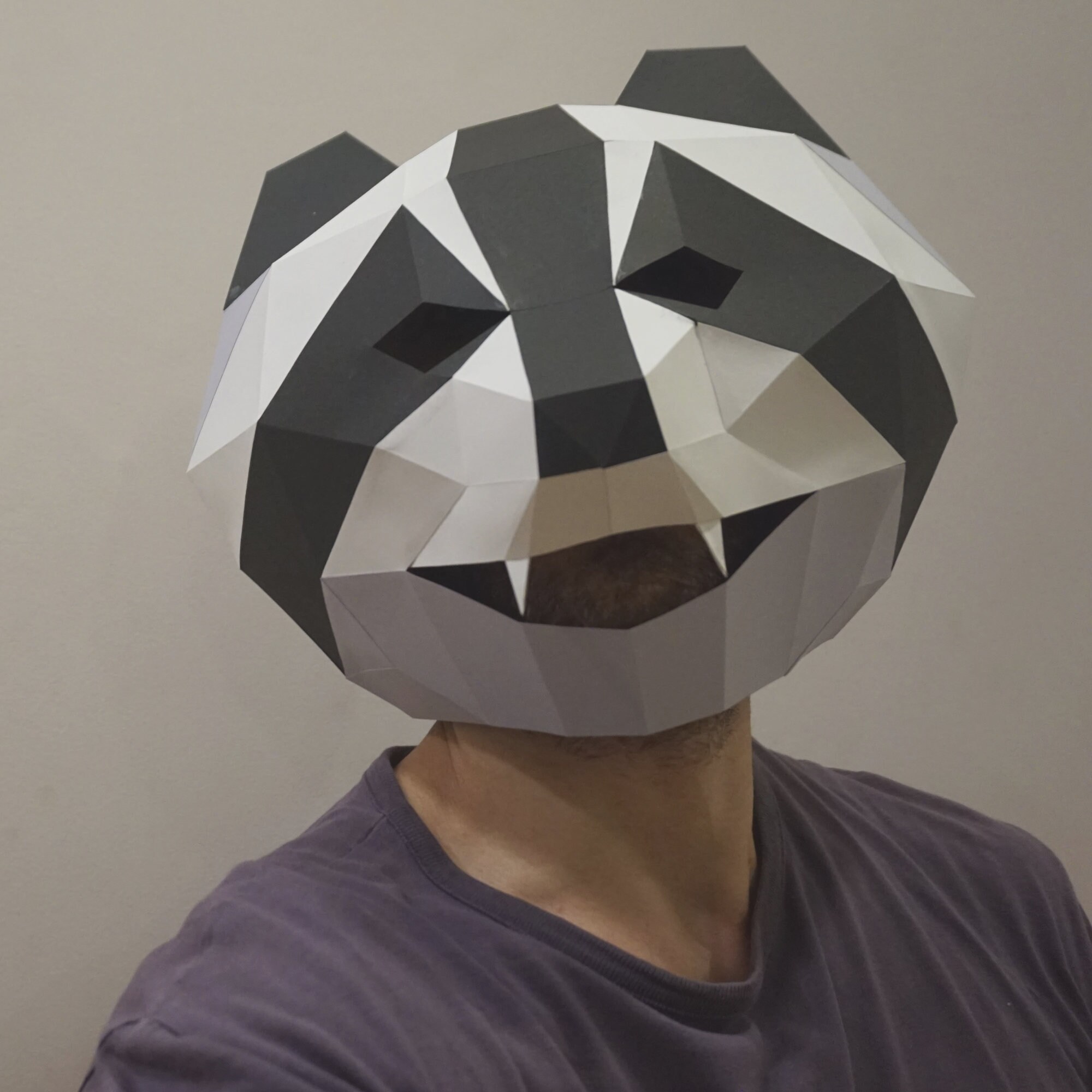 Raccoon Papercraft Mask - Etsy