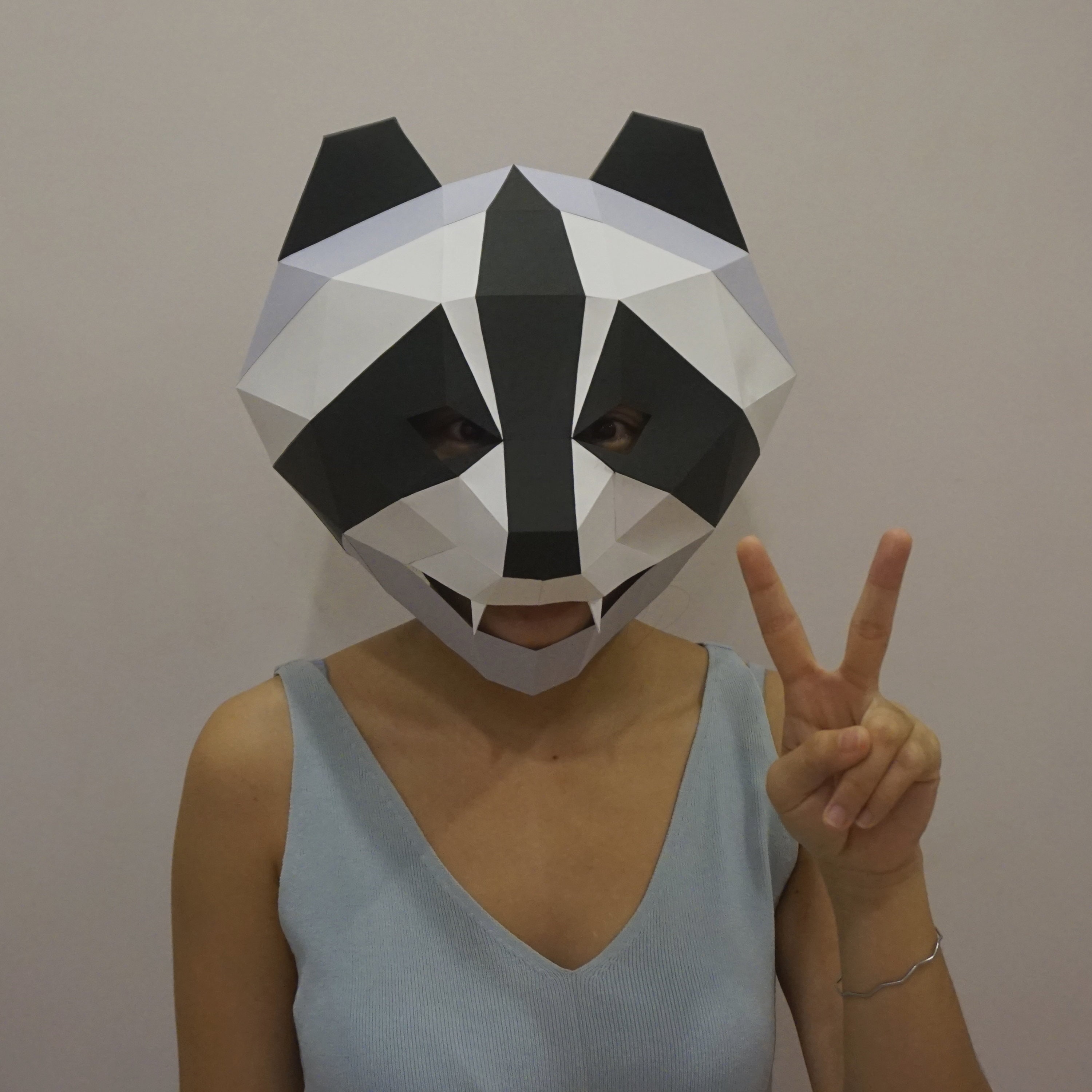 Raccoon Papercraft Mask - Etsy