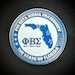 Florida Sigma's ***NEW*** State Lapel Pin - Etsy