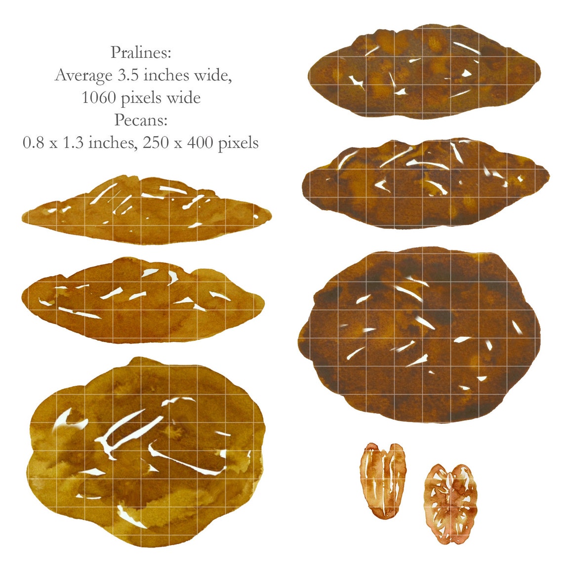 WATERCOLOR Praline Illustrations Pecan Pralines Chocolate - Etsy