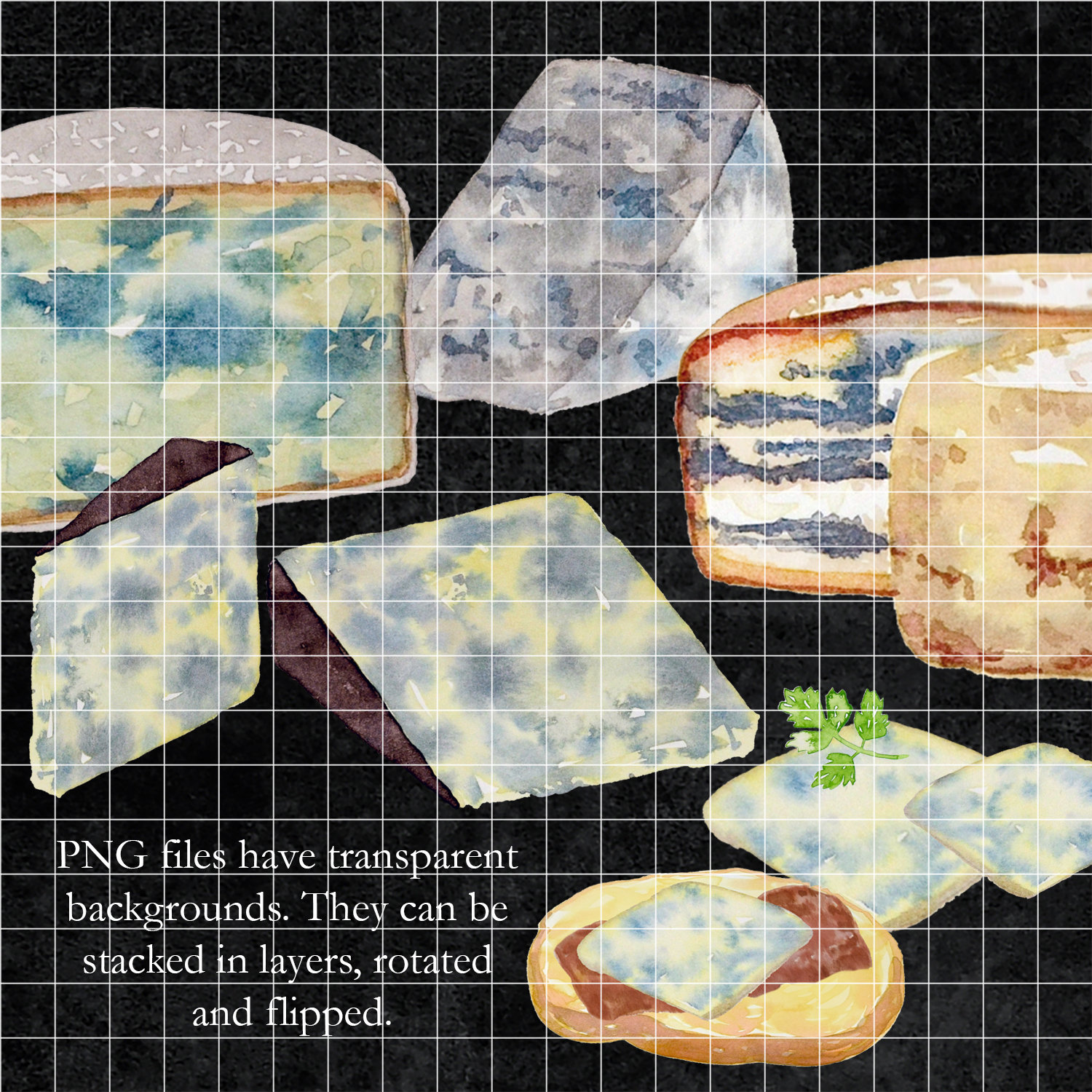 WATERCOLOR Blue Cheese Illustrations Bleu Cheese | Etsy