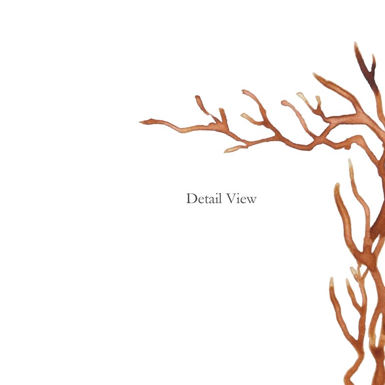 WATERCOLOR Brown Roots Frame Clip Art Gardening Frame Hand - Etsy