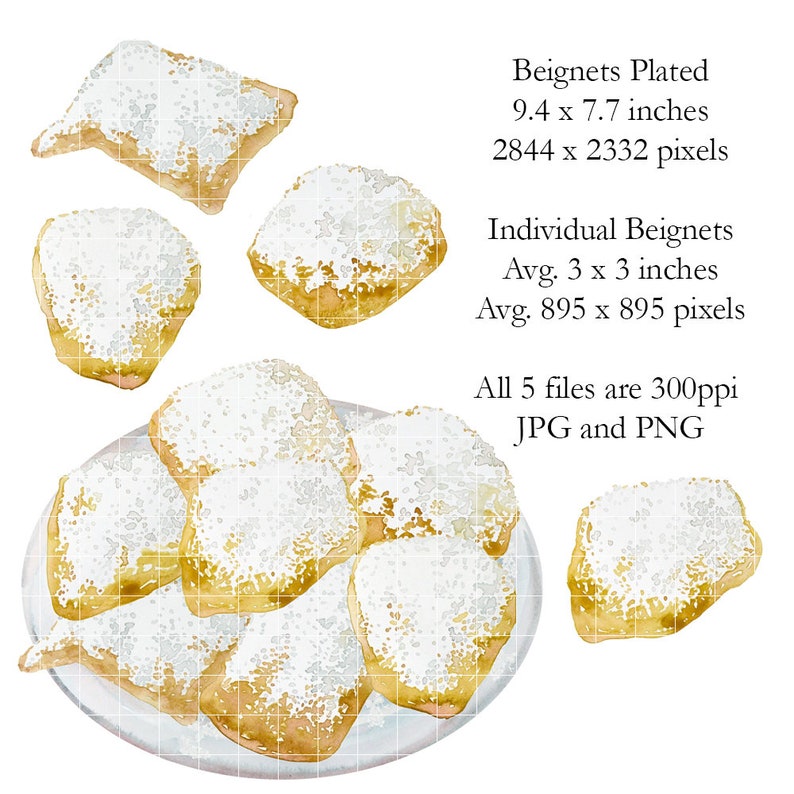 WATERCOLOR Beignets Illustrations New Orleans Donuts - Etsy