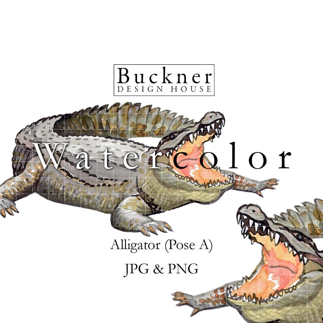 WATERCOLOR Realistic Alligator Clip Art - Gator - Hand Painted ...