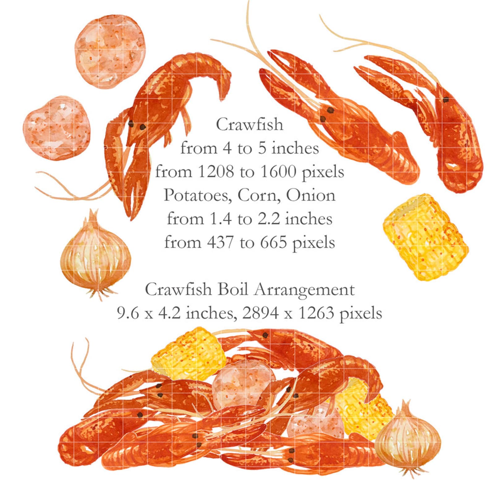 WATERCOLOR Crawfish Boil Clip Art Boiled Crawfish Crawfish - Etsy