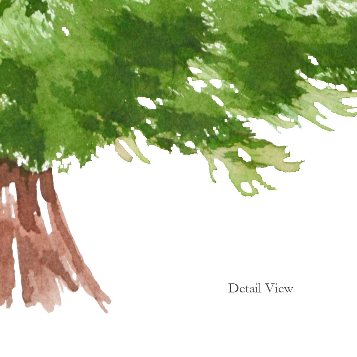 WATERCOLOR Large Cedar Tree Clip Art Hand Painted Instant | Etsy