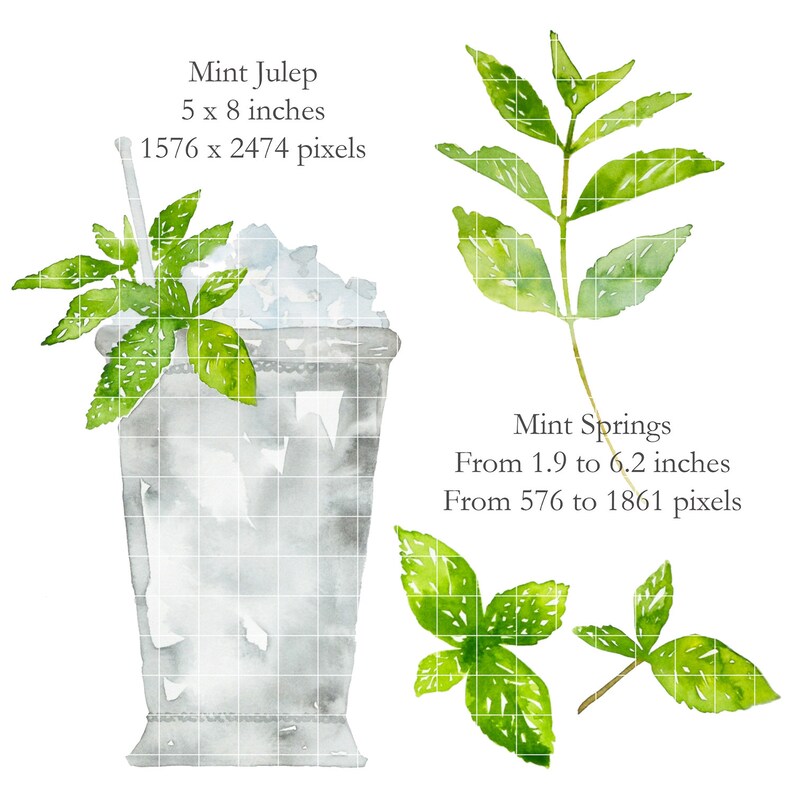 WATERCOLOR Mint Julep Clip Art Southern Cocktail Mint | Etsy Australia