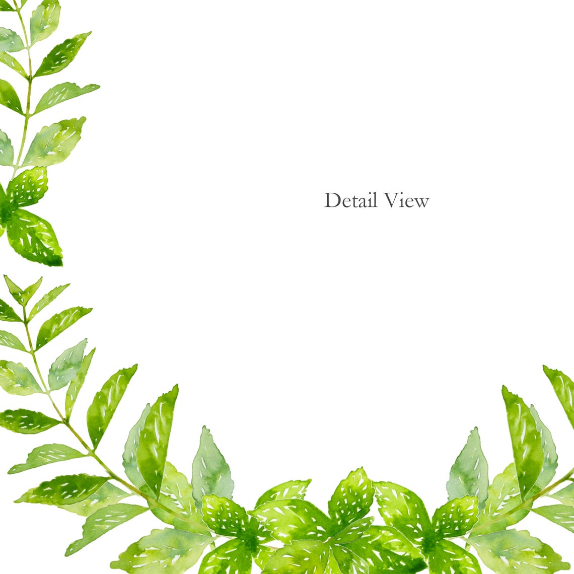 WATERCOLOR Mint Leaf Frame Illustration Mint Leaves Menu - Etsy