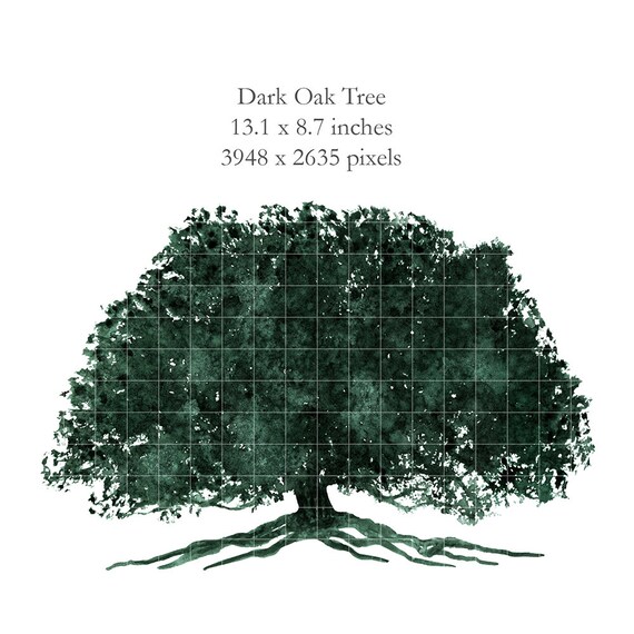 Free Live Oak Clipart