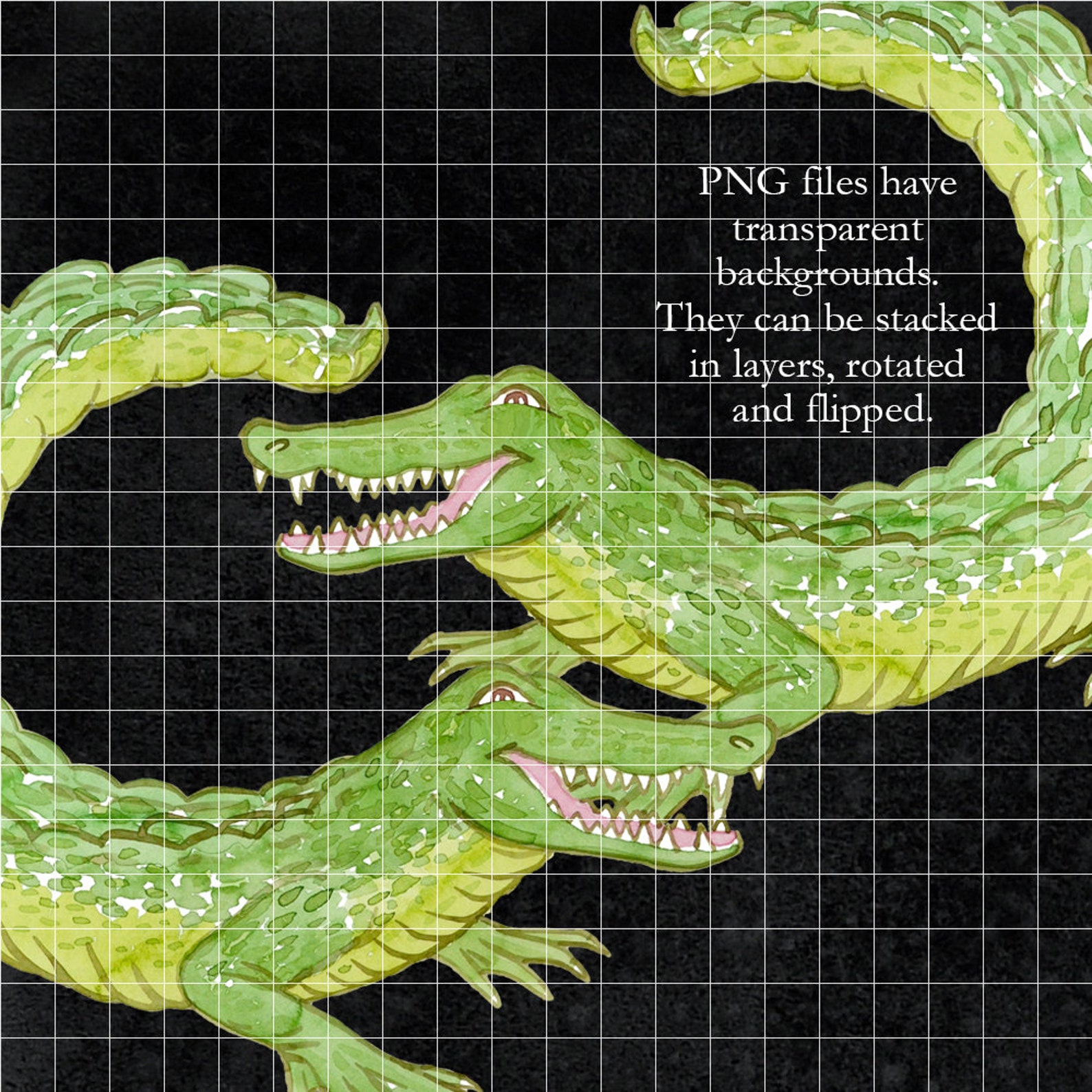 WATERCOLOR Silly Gator Clip Art Funny Alligator Cajun - Etsy