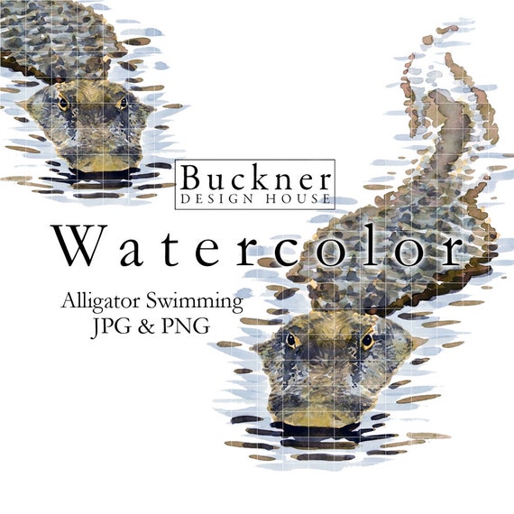 Cute Alligator In Water Clipart
