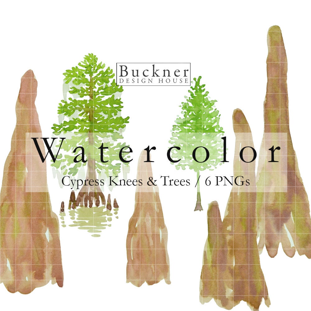 WATERCOLOR Cypress Knees Clip Art Bald Cypress Cypress - Etsy