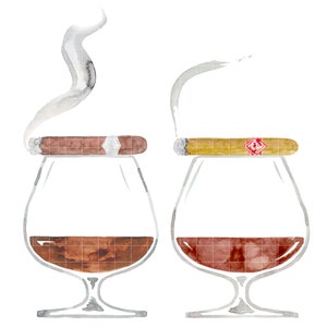 Imágenes prediseñadas de brandy y puros en acuarela - Ilustraciones ...