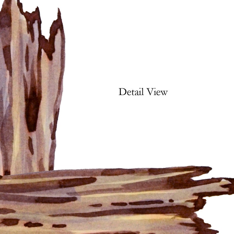 WATERCOLOR Pecky Cypress Cross Clip Art Rustic Cross Cajun - Etsy New ...