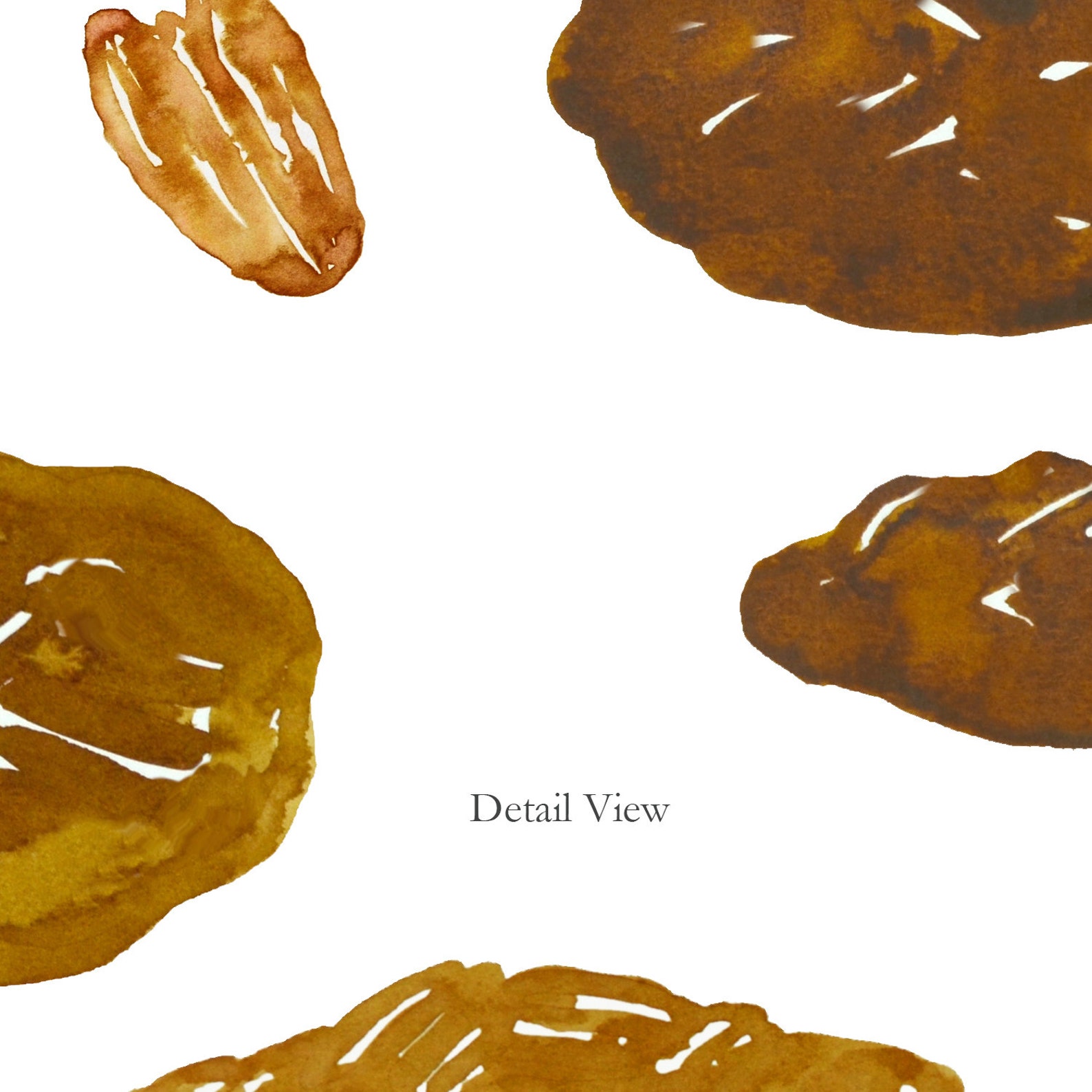 WATERCOLOR Praline Illustrations Pecan Pralines Chocolate - Etsy