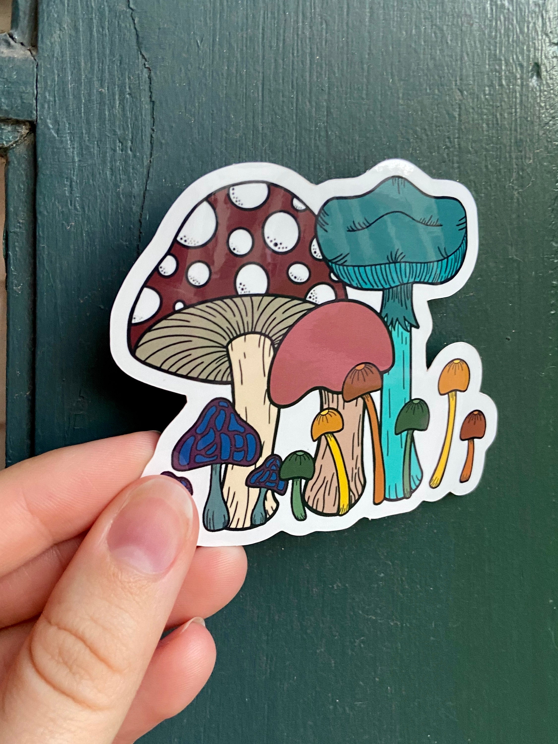 Fun Fungi Cluster of Colorful Hand Drawn Mushrooms Sticker Perfect for ...