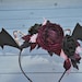 Bat Wing Halloween Headband Black Burgundy Goth Headpiece Bat Wings ...
