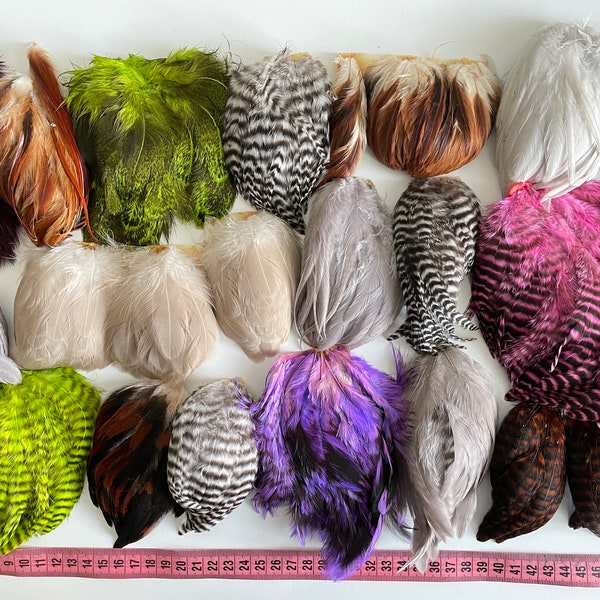 Colorful Feathers - Etsy