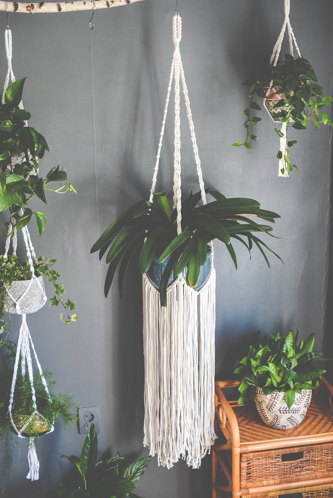 Extra Large Macrame Plant Hanger, Plant Pot Holder, Indoor Plant Hanger ...