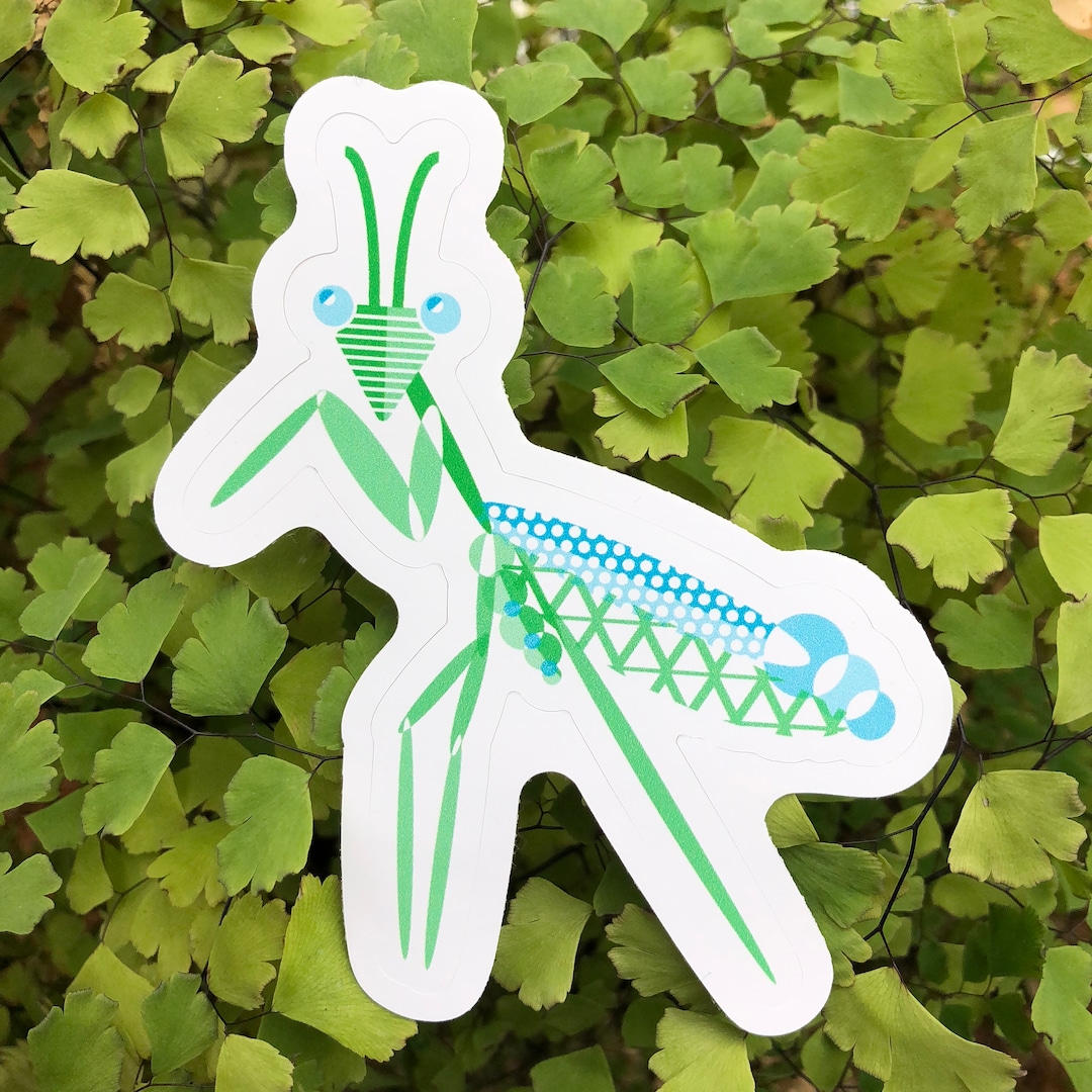Praying Mantis Sticker - Etsy