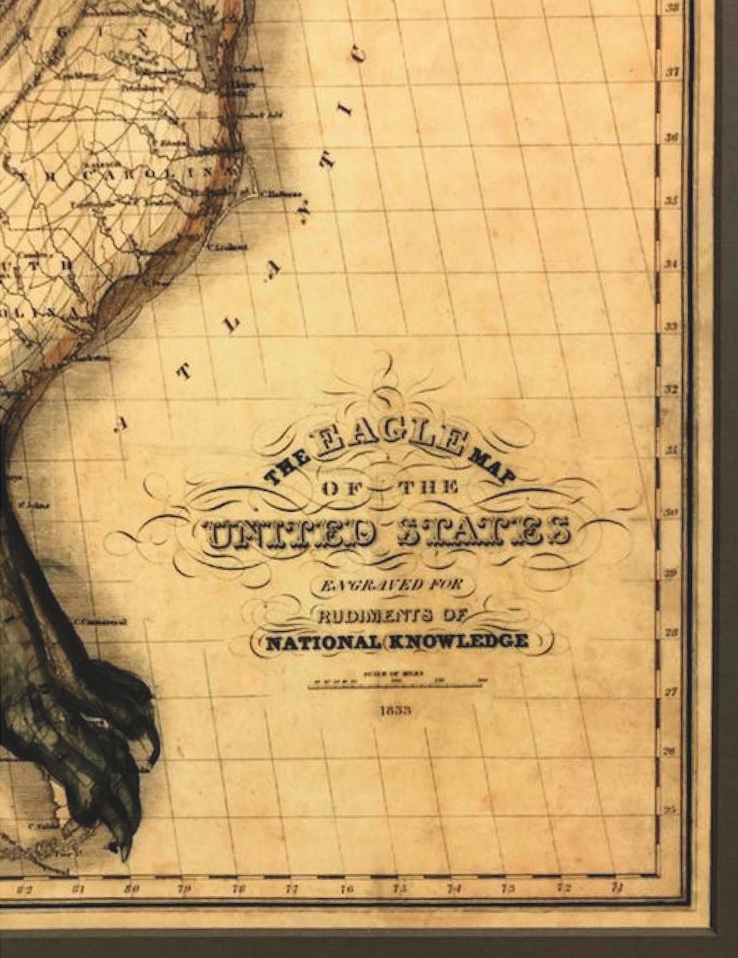 The Eagle Map of the USA - Etsy