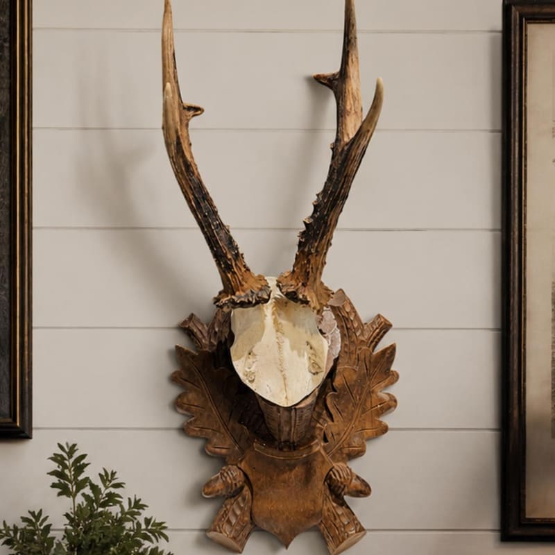 Skull Roe Deer Carved - Etsy