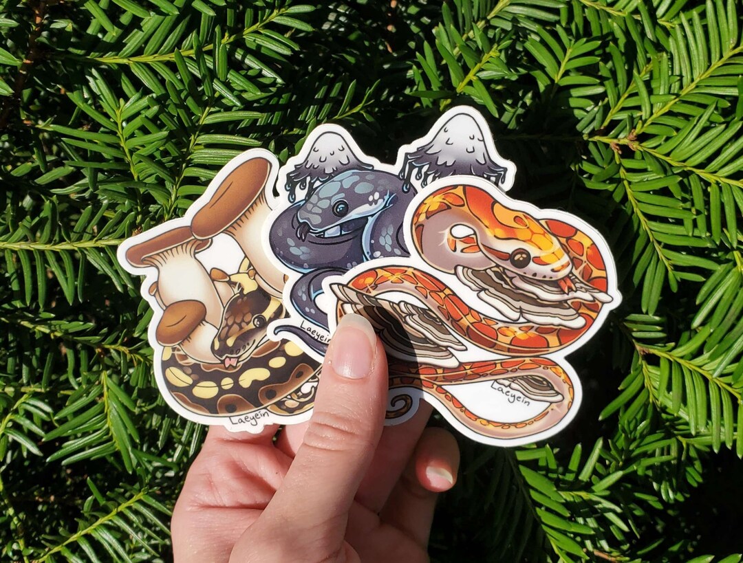 Vinyl Snake and Mushroom Stickers || Waterproof Vinyl Decal - Etsy
