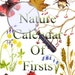 Nature Calendar of Firsts - Etsy
