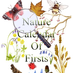 Nature Calendar of Firsts - Etsy