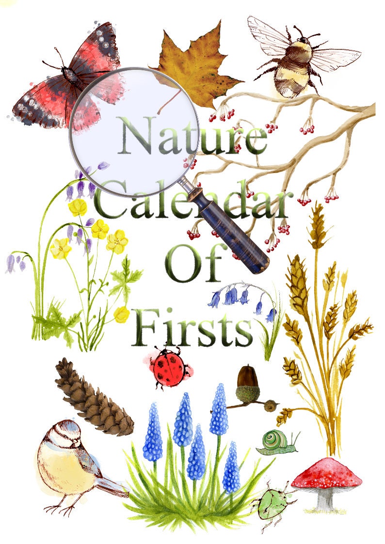 Nature Calendar of Firsts - Etsy