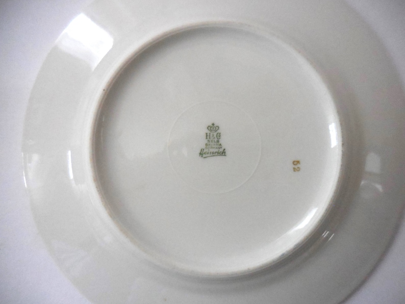 Heinrich H&co No. 16419 Pattern Bone China Dinner Plate 10 1/4" Selb ...