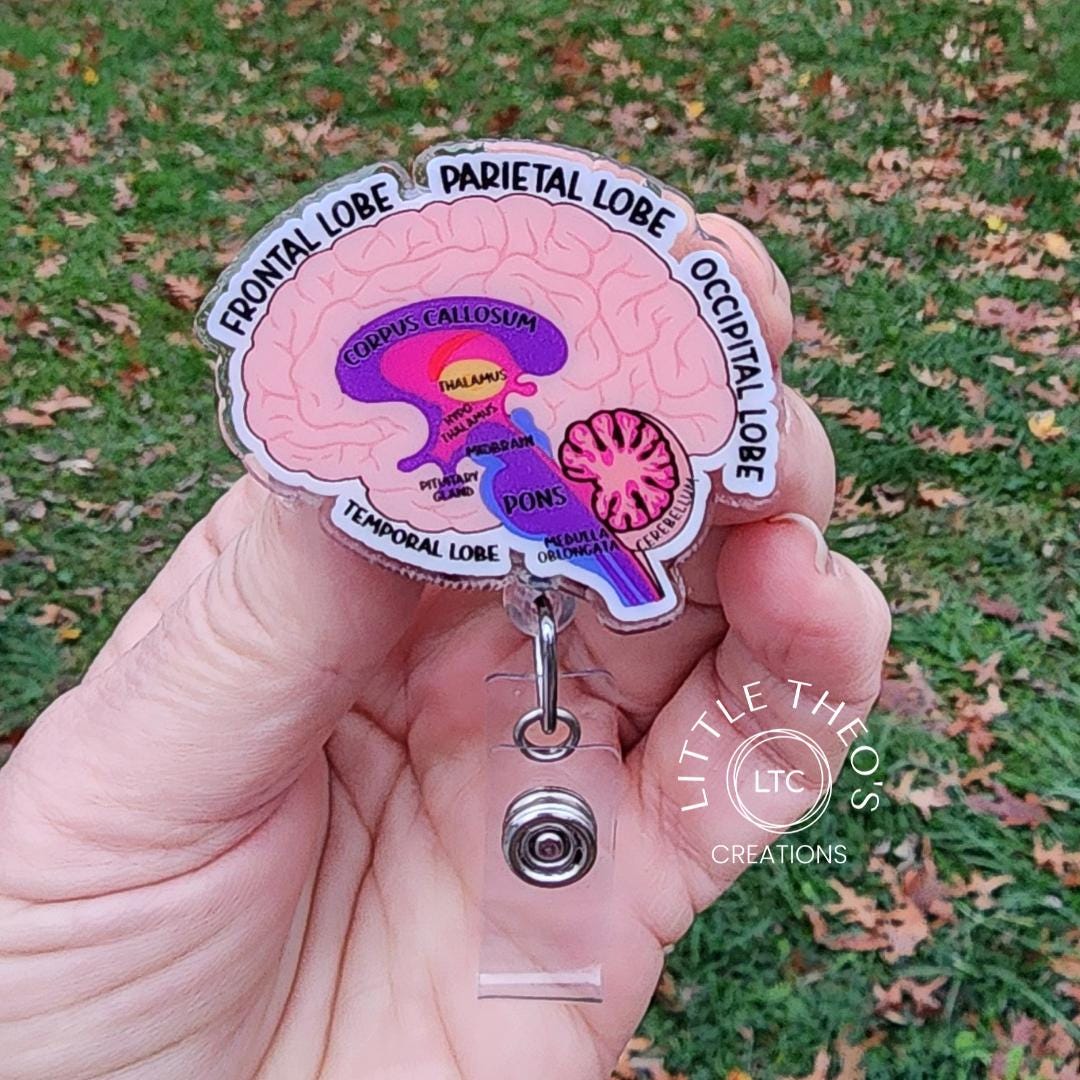 Labeled Brain Badge Reel, Neurologist Gift, Psych Badge Reel, Mental ...