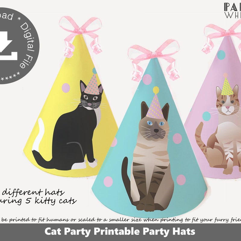 Cat Party Hats - Etsy