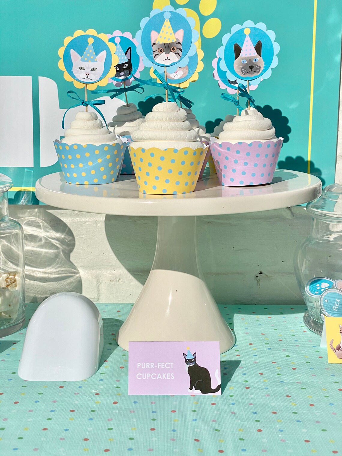 Printable Cat Party Games Cat Check-up Party Games Kitty Birthday Cat ...