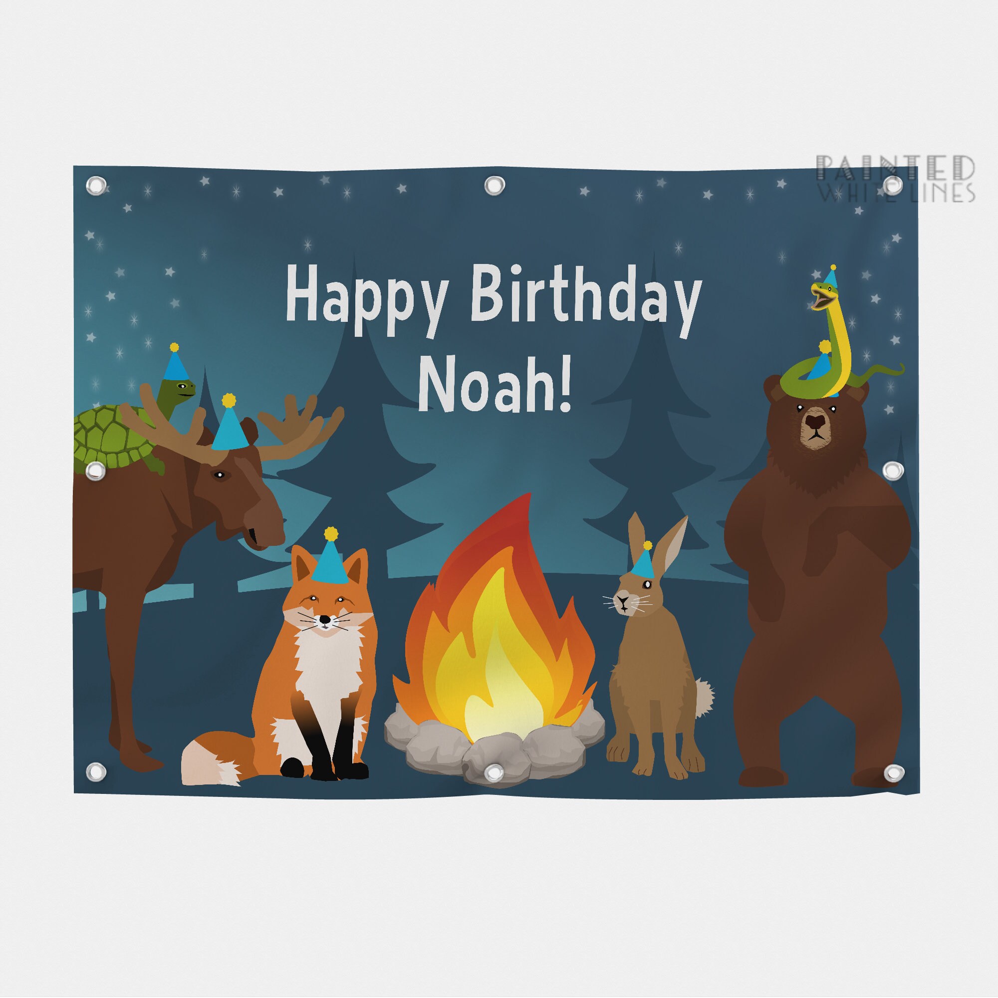Campfire Birthday Activity Sheet Editable Printable Any Occasion Corjl ...